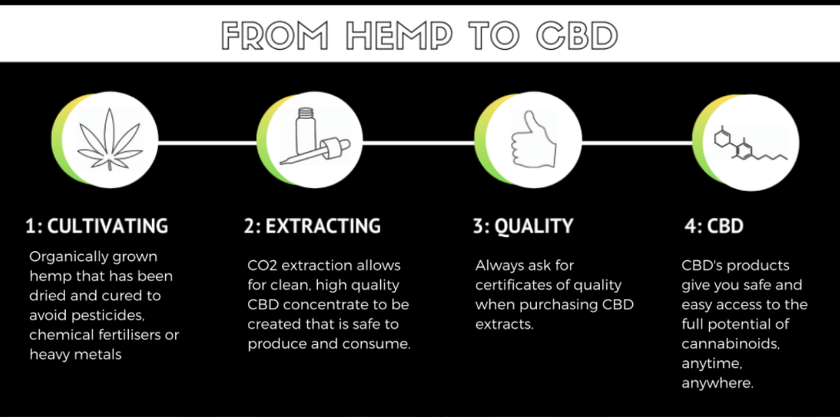 Everything You Need To Know About CBD Manufacturing